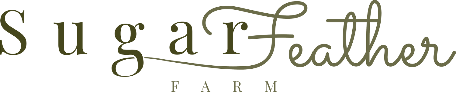 The Enchanting Bantam Silkie Duck: A Fluffy Rarity – Emily Herr